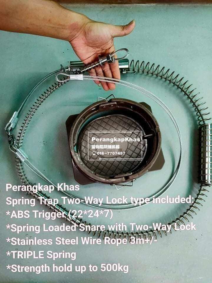 Wild Boar Spring Trap Perangkap Jerat Babi Hutan 山猪套 (Tiga Spring ...