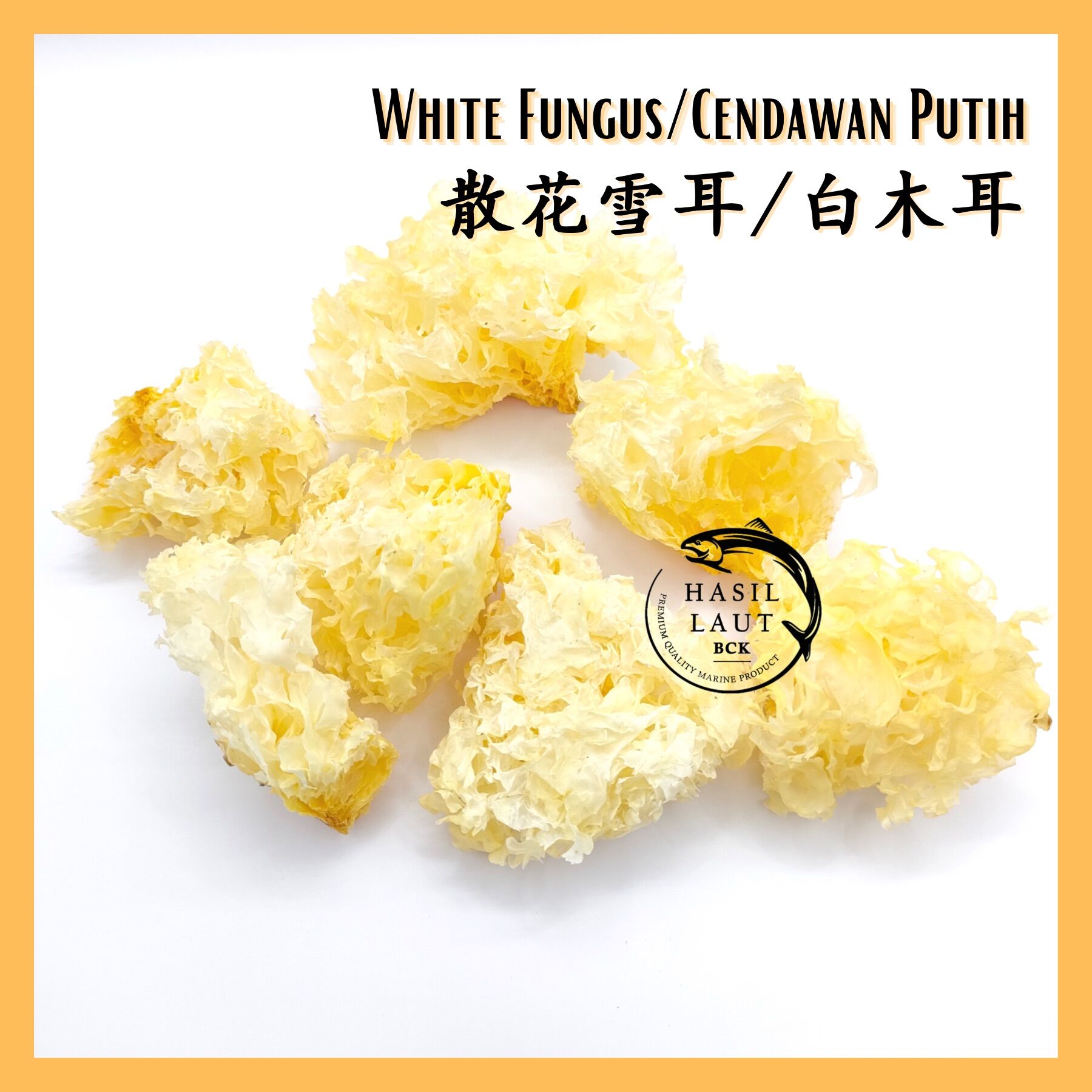 White Fungus/Cendawan Putih 散花雪耳/白木耳 (100g) | Lazada