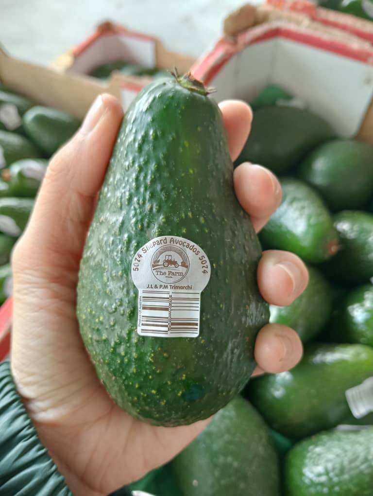 Australian Avocado 🥑 (Hass / Shepard) Fresh New Season Arrive Creamy ...