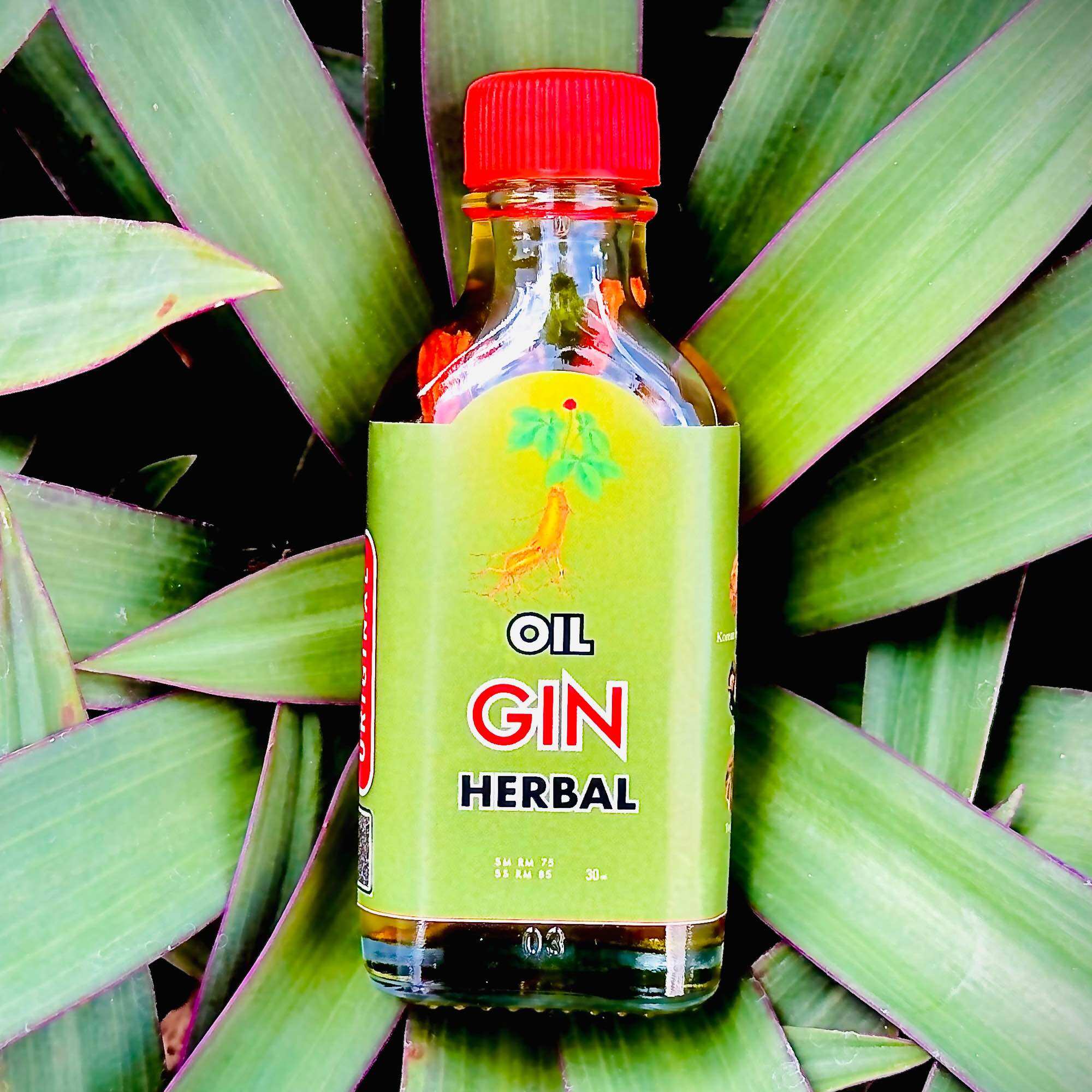 Oil Gin Herbal Massage OIL Original | Lazada