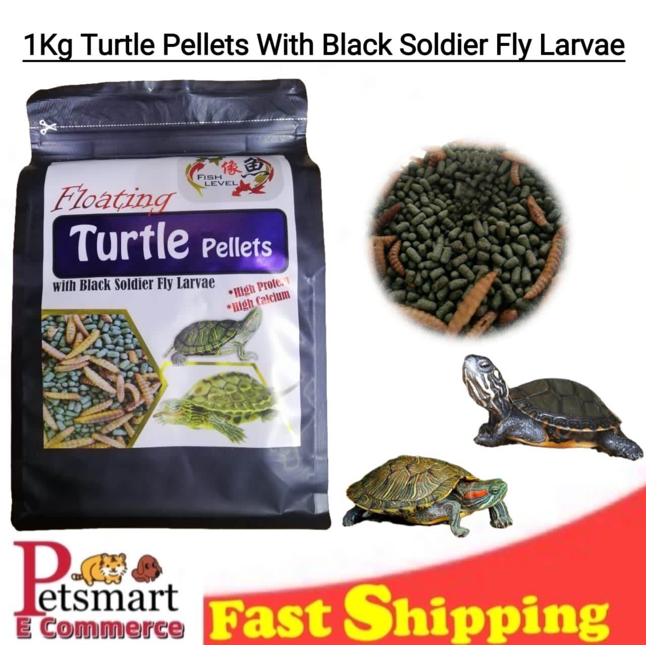 FISH LEVEL1KG FLOATING TURTLE PELLETS WITH BLACK SOLDIER FLY LARVAE ...