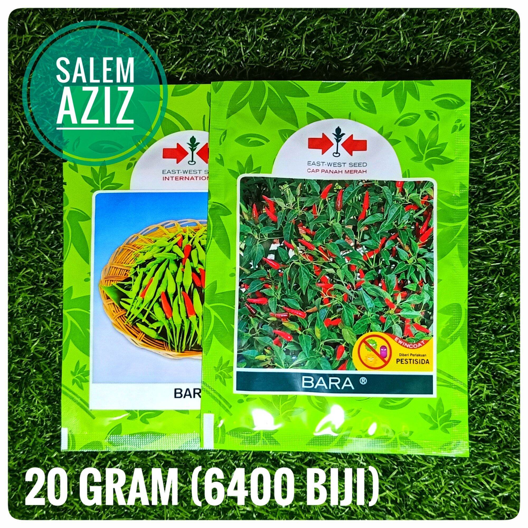 Paket 10g (3200biji) - 20g (6400biji) CILI BARA Panah Merah Biji Benih ...