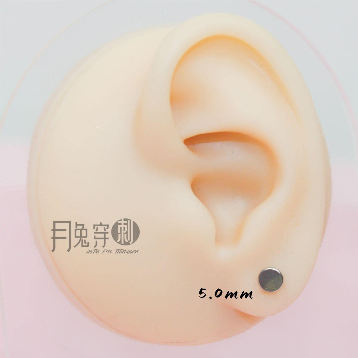 Titanium Alloy Pin Flat Ear Studs 0.8mm Wire Diameter Earlobe Nail ...