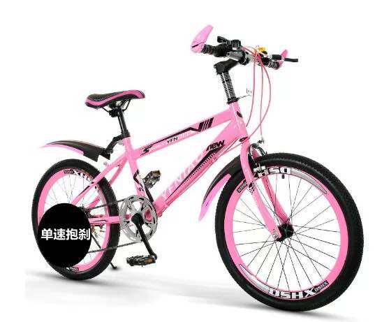 22 inch / 24 inch Single Speed Mountain Bike | Lazada