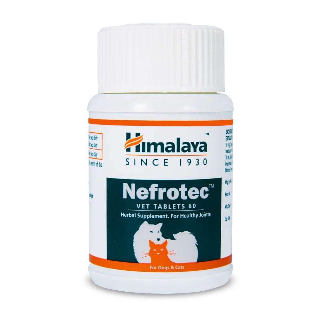 Himalaya Nefrotec - Urinary Care / Joint Care / Kidney Stone / Batu ...