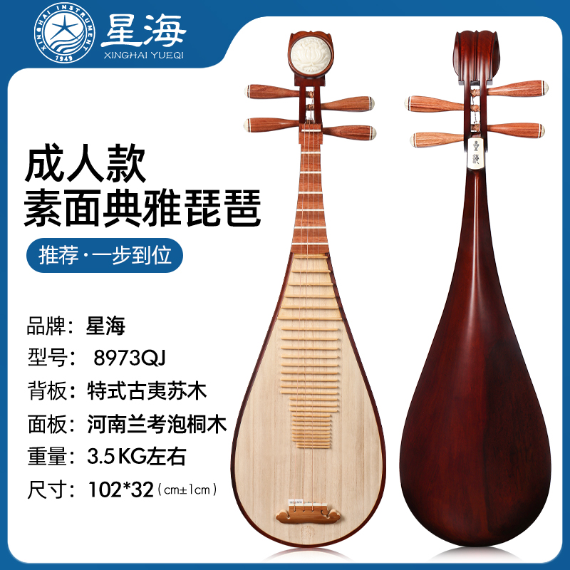 Beijing Xinghai Pipa Musical Instrument Beginner Kids Pipa Adult ...