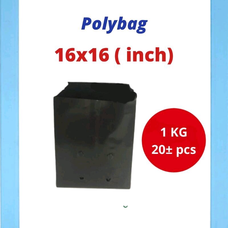 1 KG 16x16 Thick Uv Polybag Black Fertigasi Polibag Hitam Nursery ...