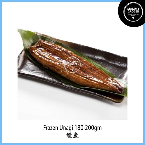 Premium Frozen Unagi Kabayaki 烤鳗鱼 180-200g | Lazada