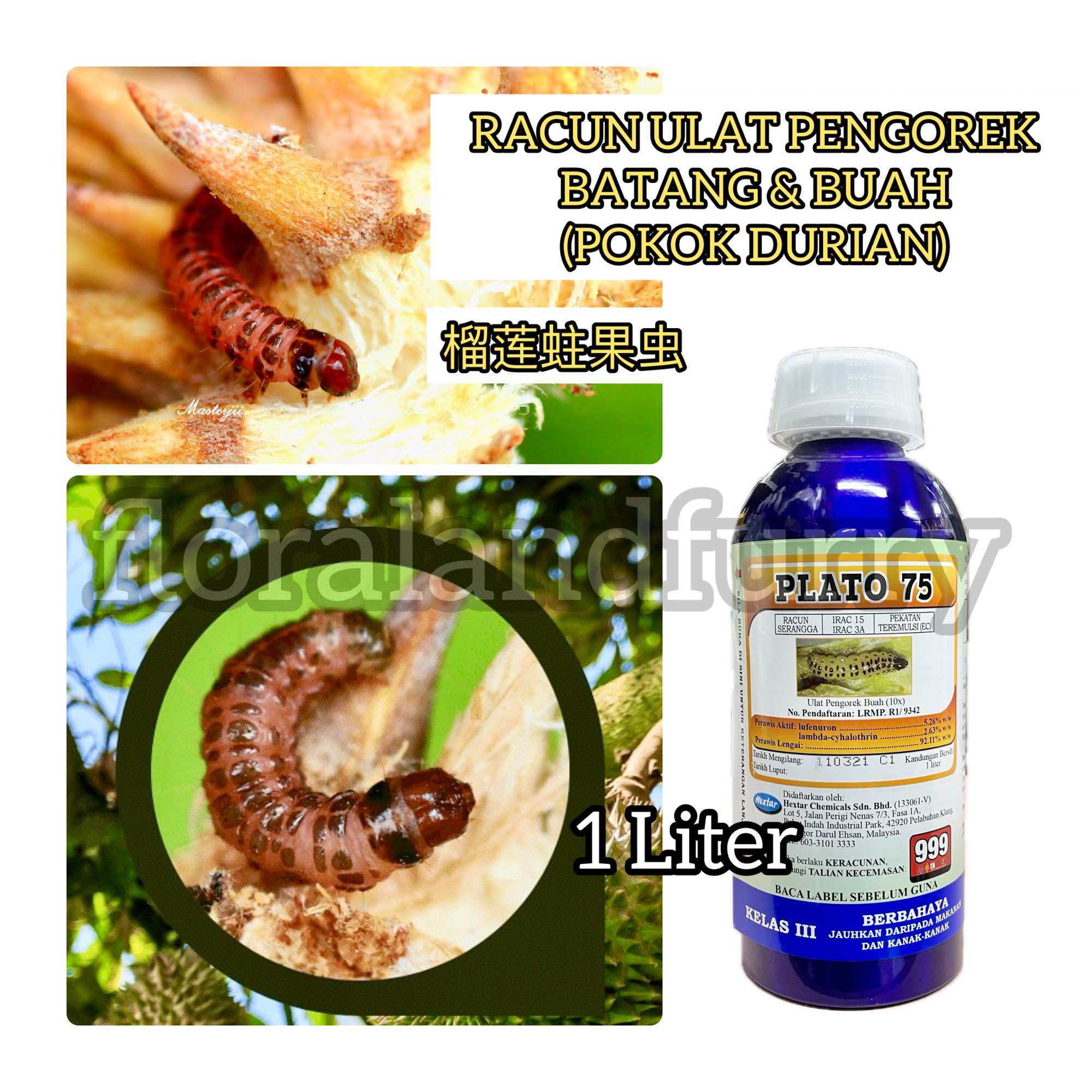 Plato 75 1 Liter Hextar Racun Ulat Pengorek Buah Ulat Korek Batang Pokok Durian 蛀果虫 杀虫剂 榴莲树 果树 ...