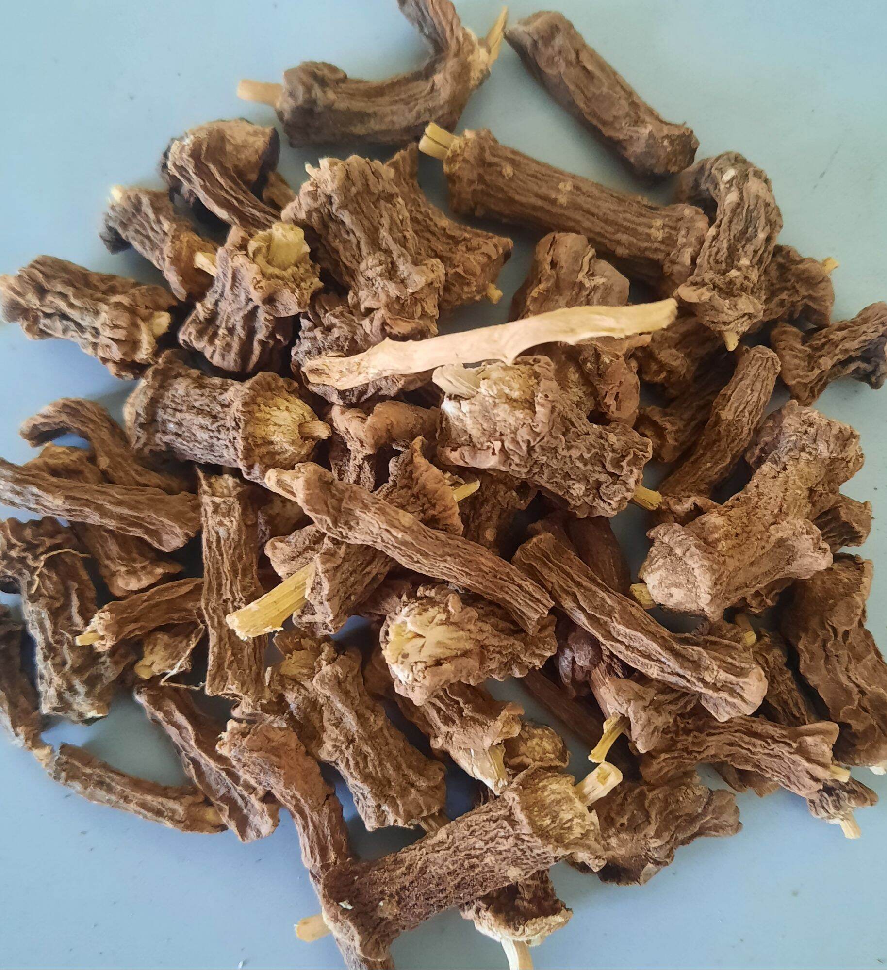 Nannari / Akar Nannari / Indian Sarsaparilla Root Dried (Raw) / अनंतमूल ...