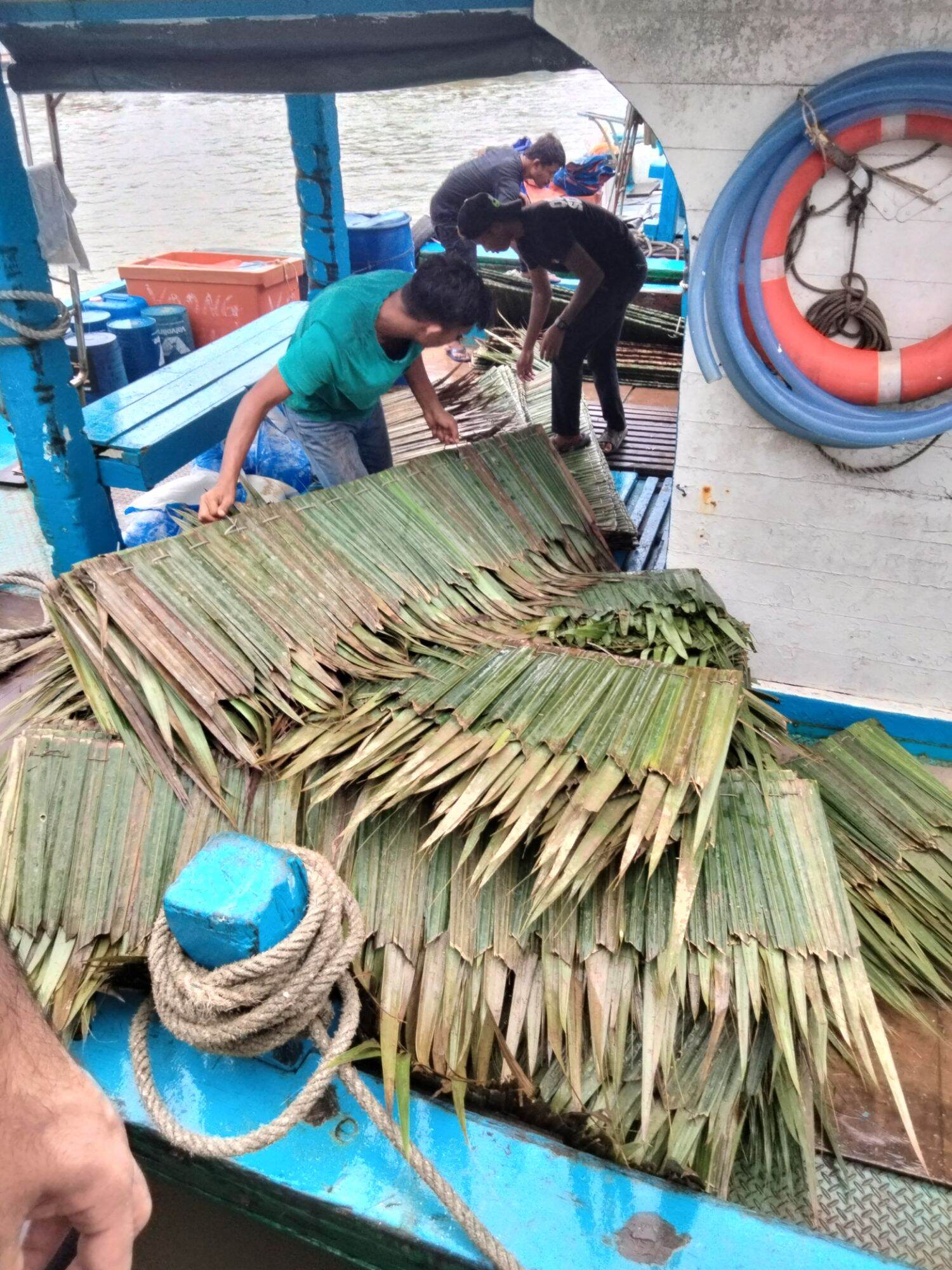 Atap Nipah 5.5 kaki tahan lasak sesuai untuk penghantaran ke pulau ...