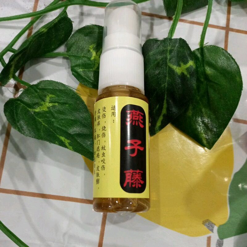 🐥燕子藤 ubat luka kencing manis 20ml Diabetic Wound healing spray 20ml ...