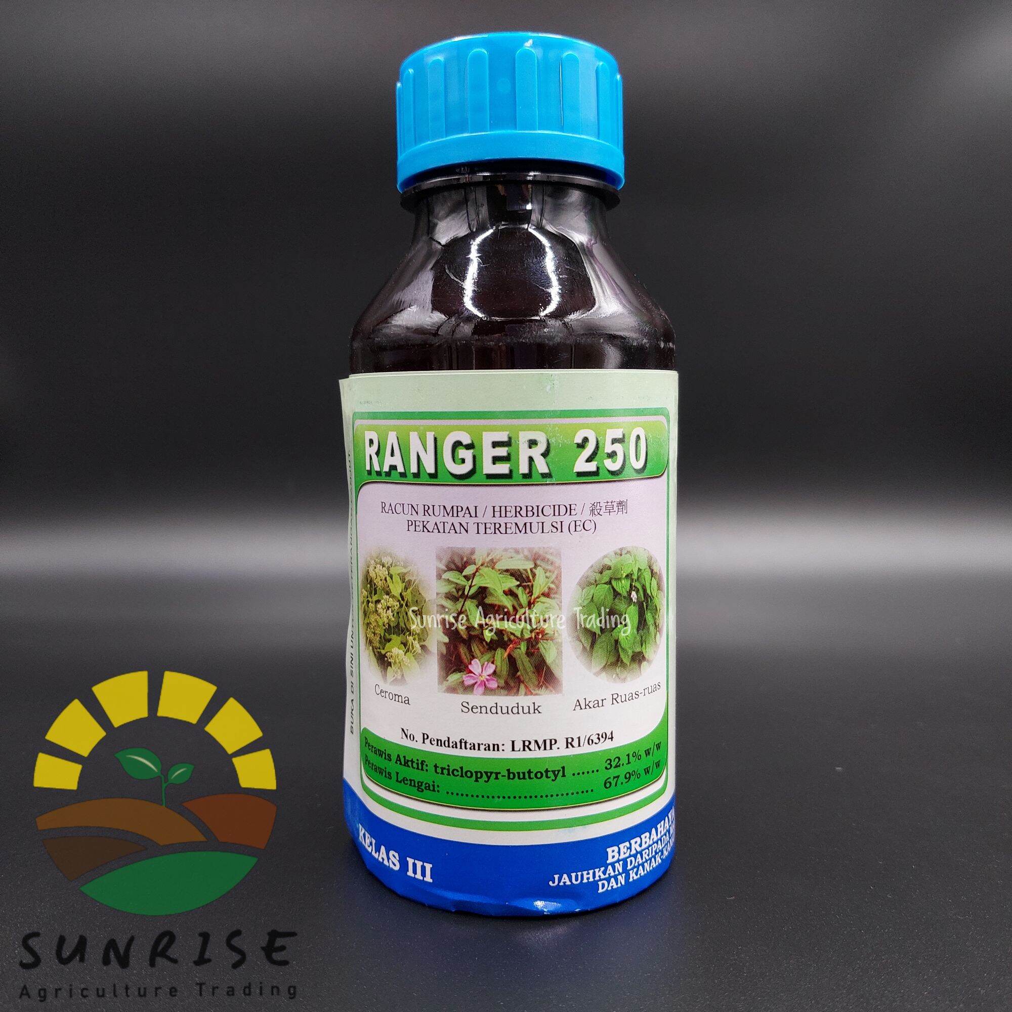 500ml Ranger 250 (Pokok) triclopyr-butotyl Akar Ruas-ruas Ceroma akar ...