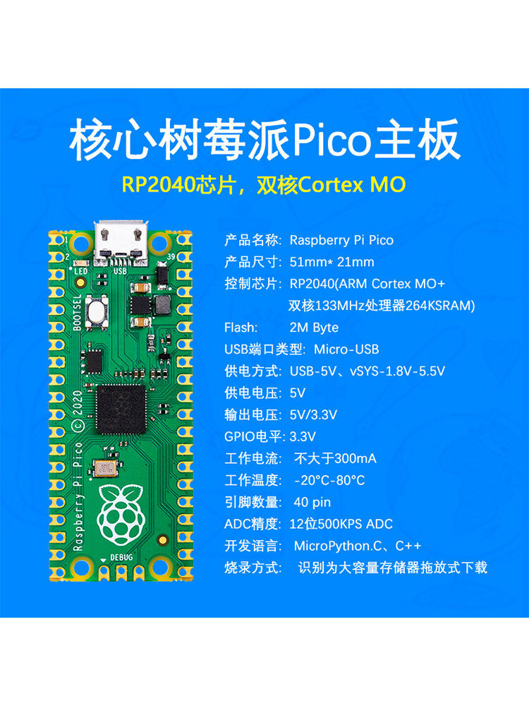 Raspberry Pi Pico Development Board Micropython Programming Basic Entry Learning Kit Raspberry
