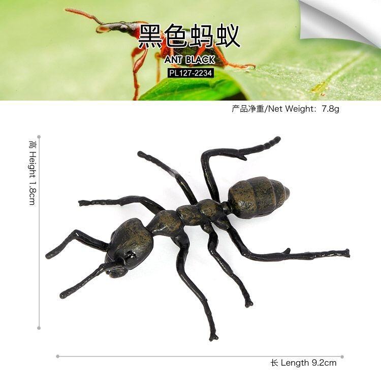 Artificial Animal Model Insect Tianniu Beetle Shield Bug Ant Spider ...