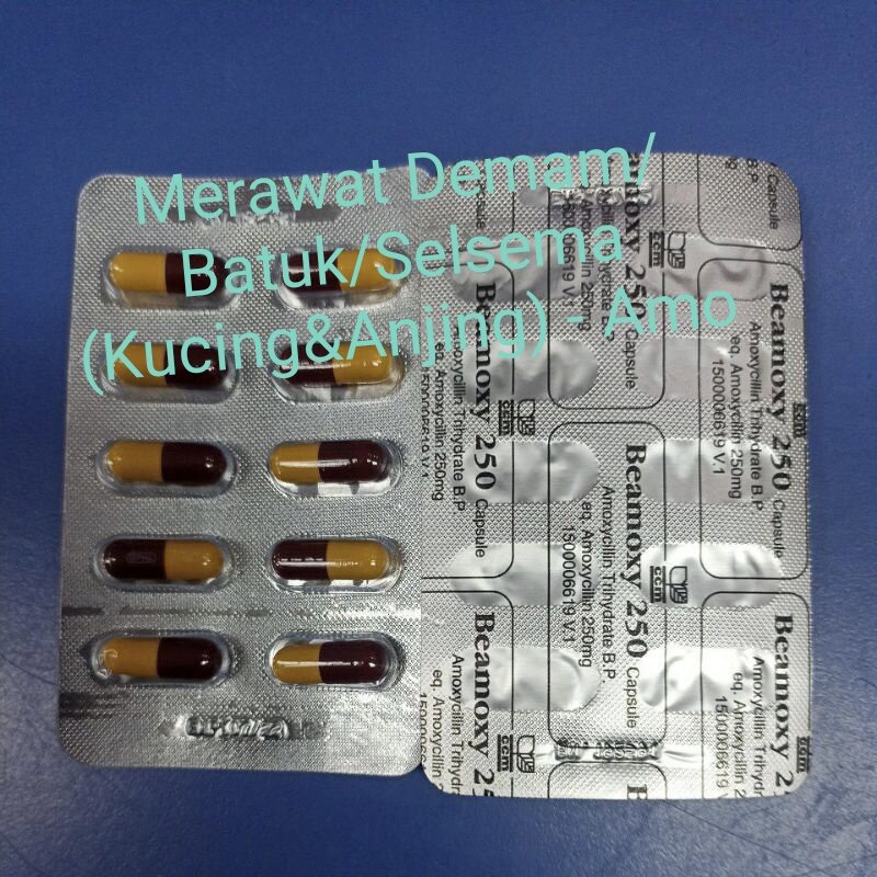 Beamoxy 250 Uses - The Best Picture Of Beam