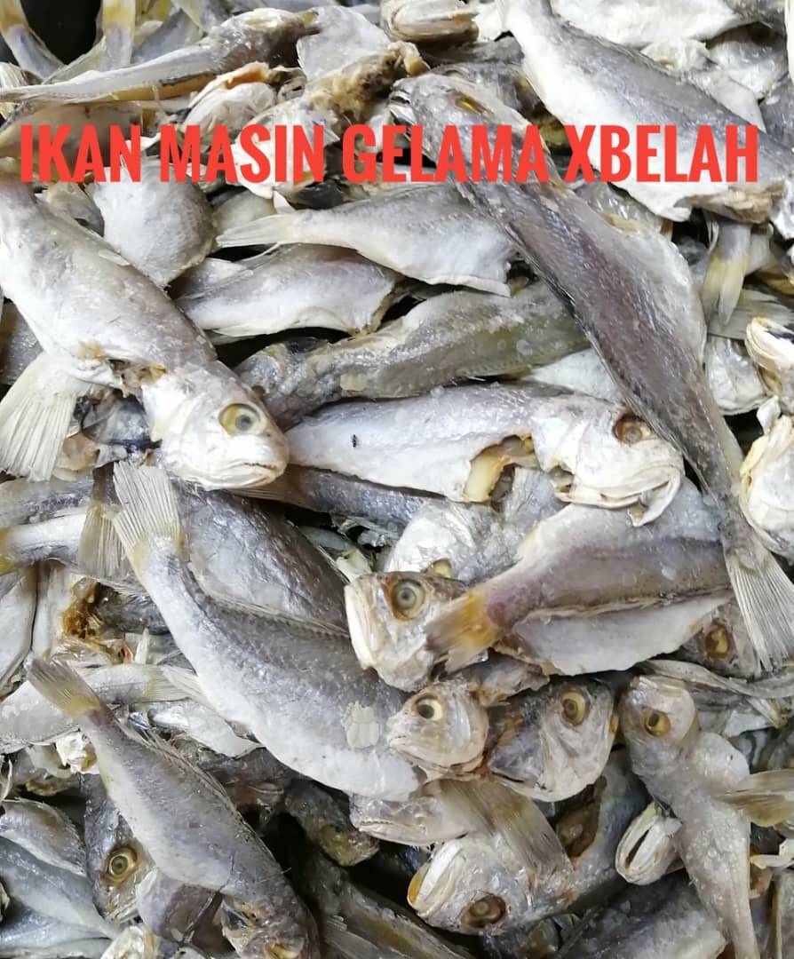 Ikan Gelama butir kering 500g=Rm10 | Lazada