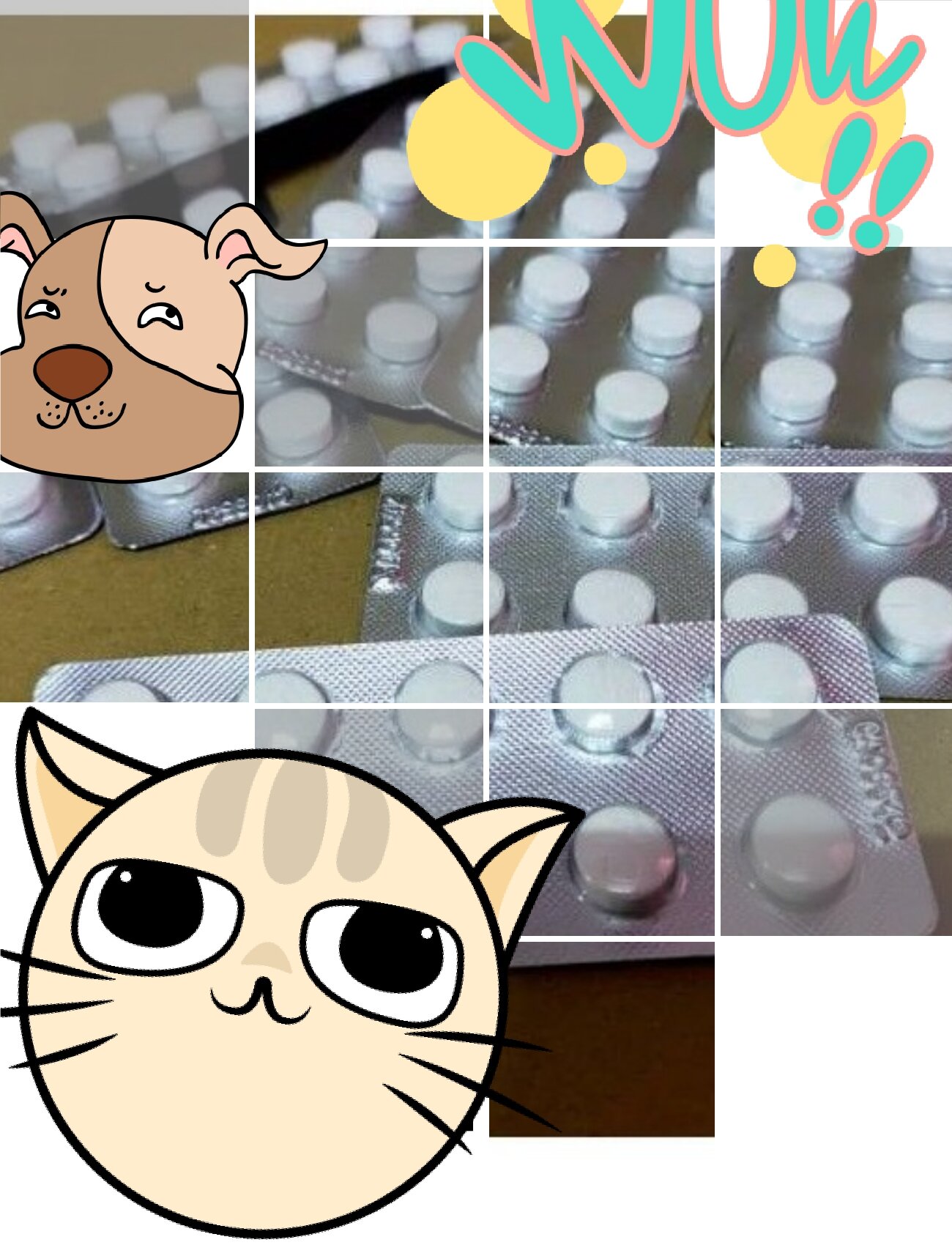 Vitamin Kucing Kalsium Untuk Kuatkan Tulang dan Tambah Susu Ibu Kucing ...