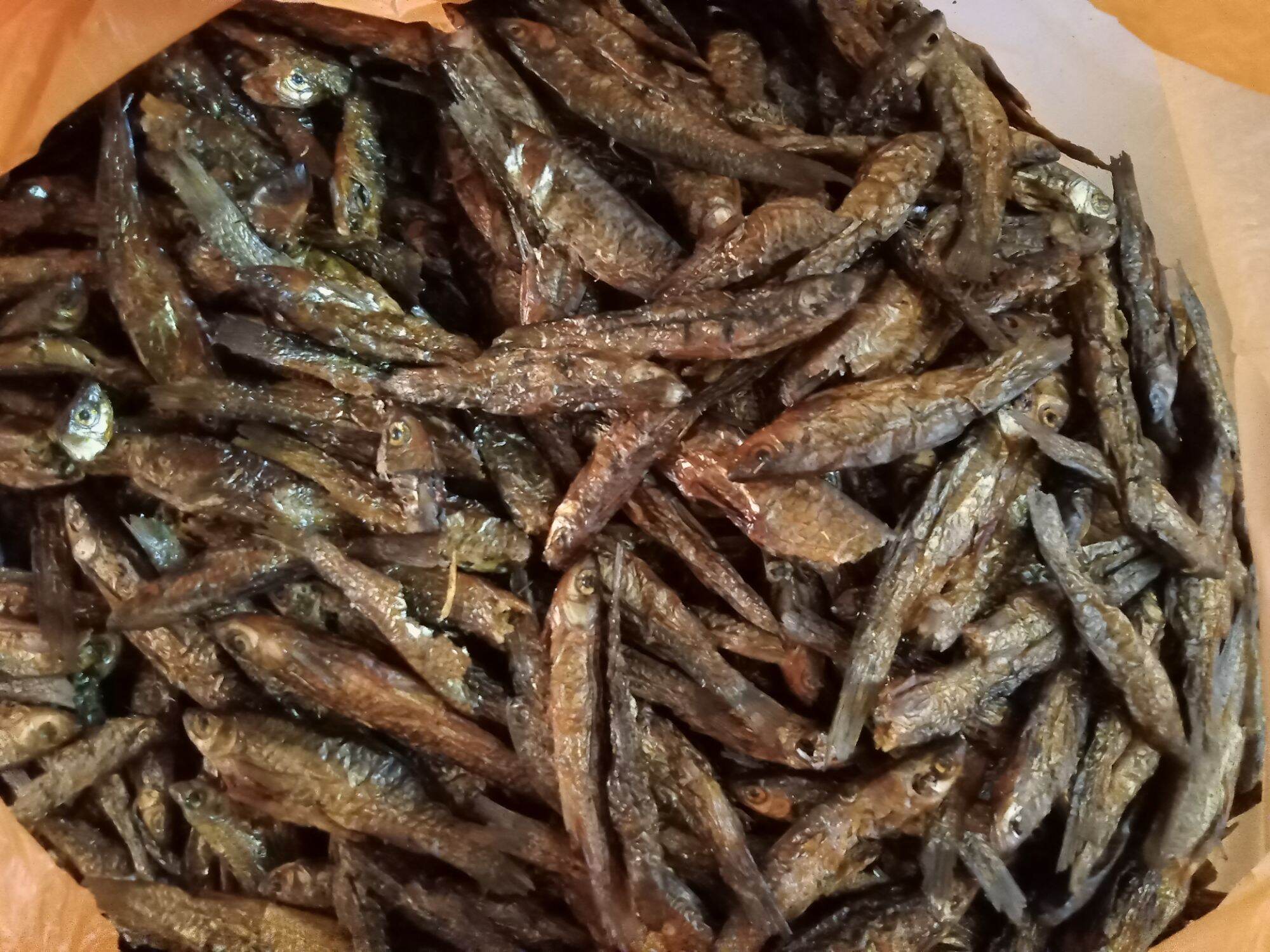 Ikan danau padang Sumatra 100 gram | Lazada