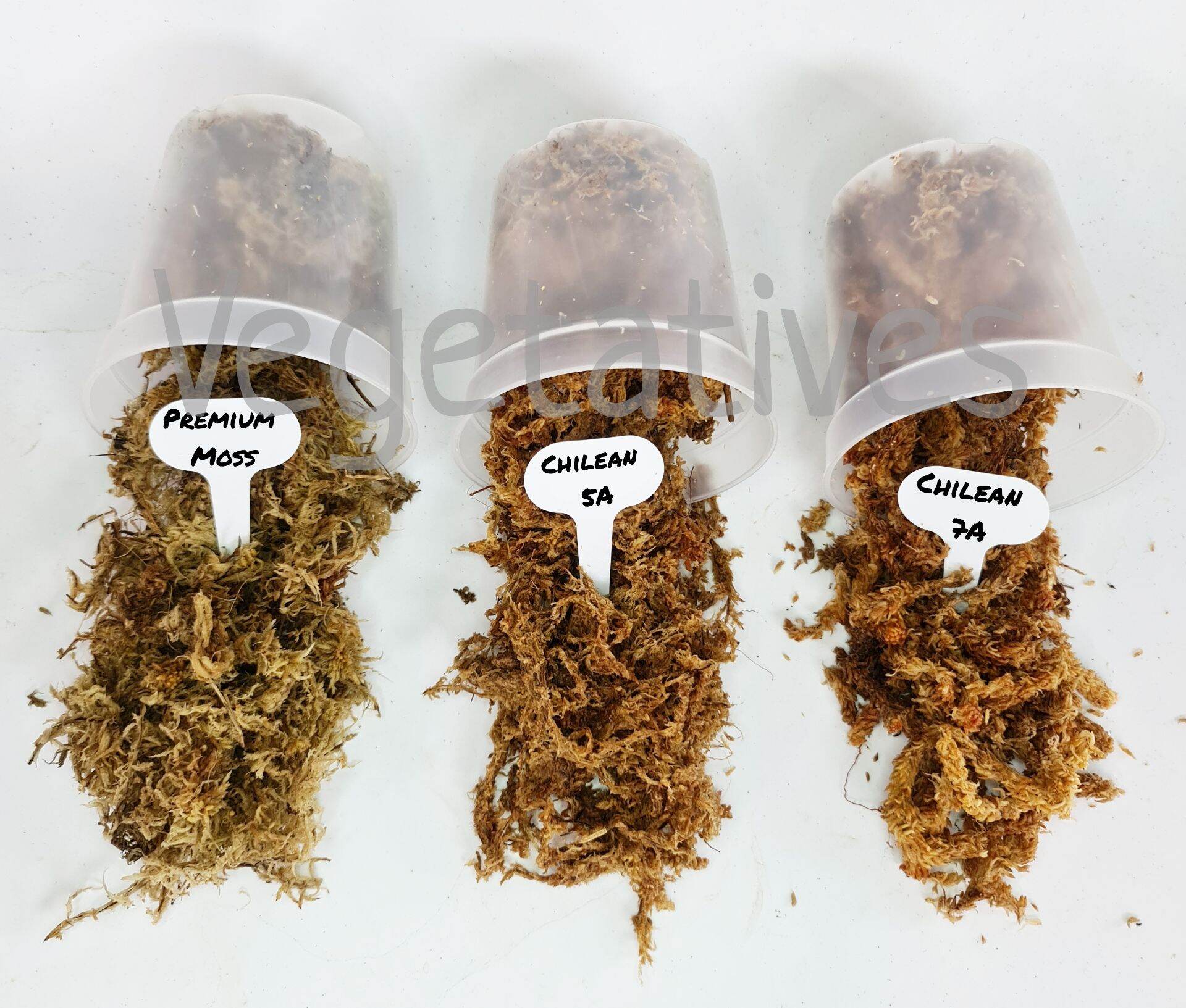 Sphagnum moss Chilean 5 star , 7 star | Lazada