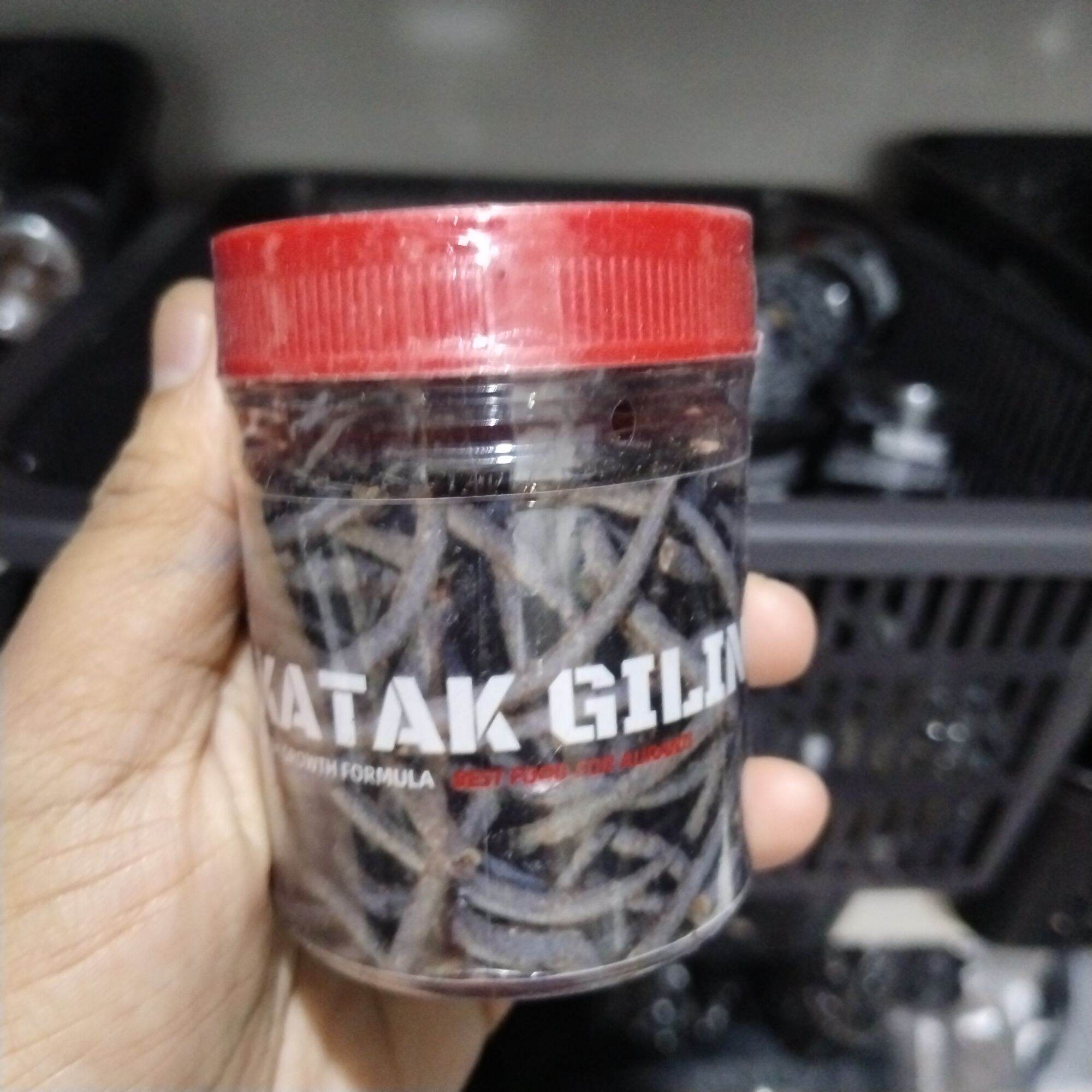 frog pellets/katak giling original gogochanna | Lazada