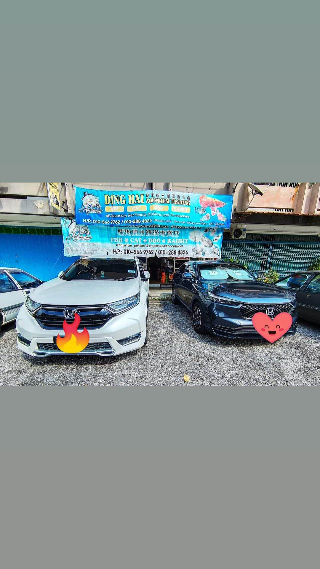 ivan tan Malaysia Official Online Store | Shop Now on Lazada