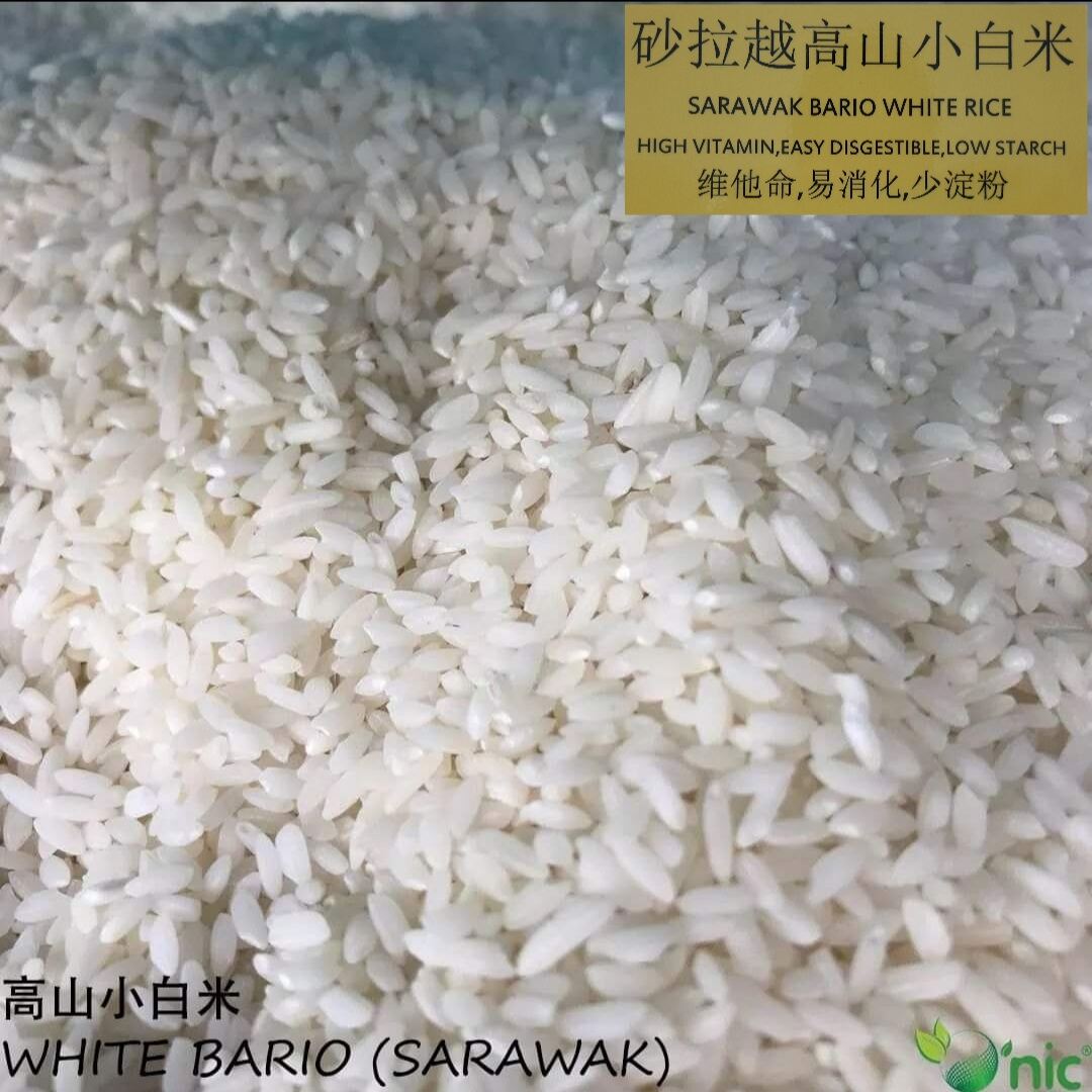 Sarawak Bario White Rice 砂拉越高山小白米 5KG | Lazada