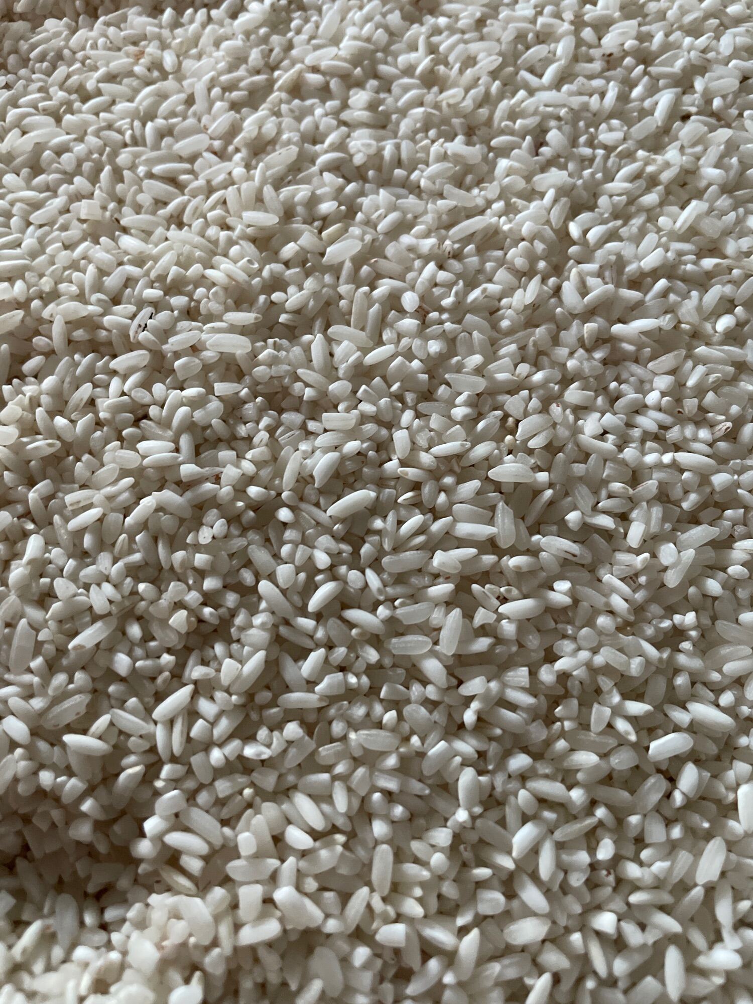 500g TUAIAN 2022 Beras Kampung Beras Padi Bukit dari Sarawak | Lazada