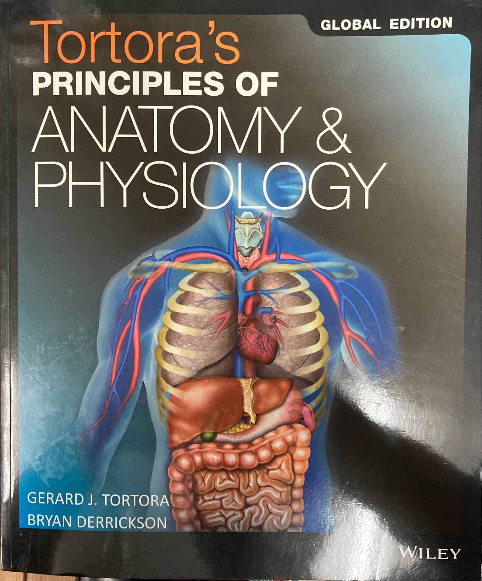 Principles Of Anatomy And Physiology, Tortora. Textbook and Study Guide ...