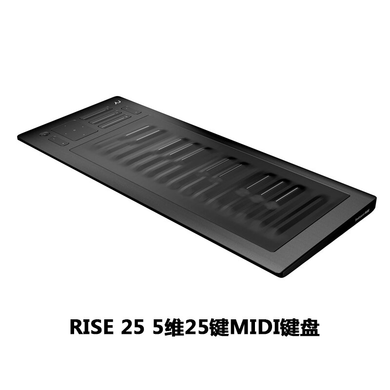 Roli Lumi Rise 25/49 Full-Color Intelligent Interactive MIDI Keyboard ...