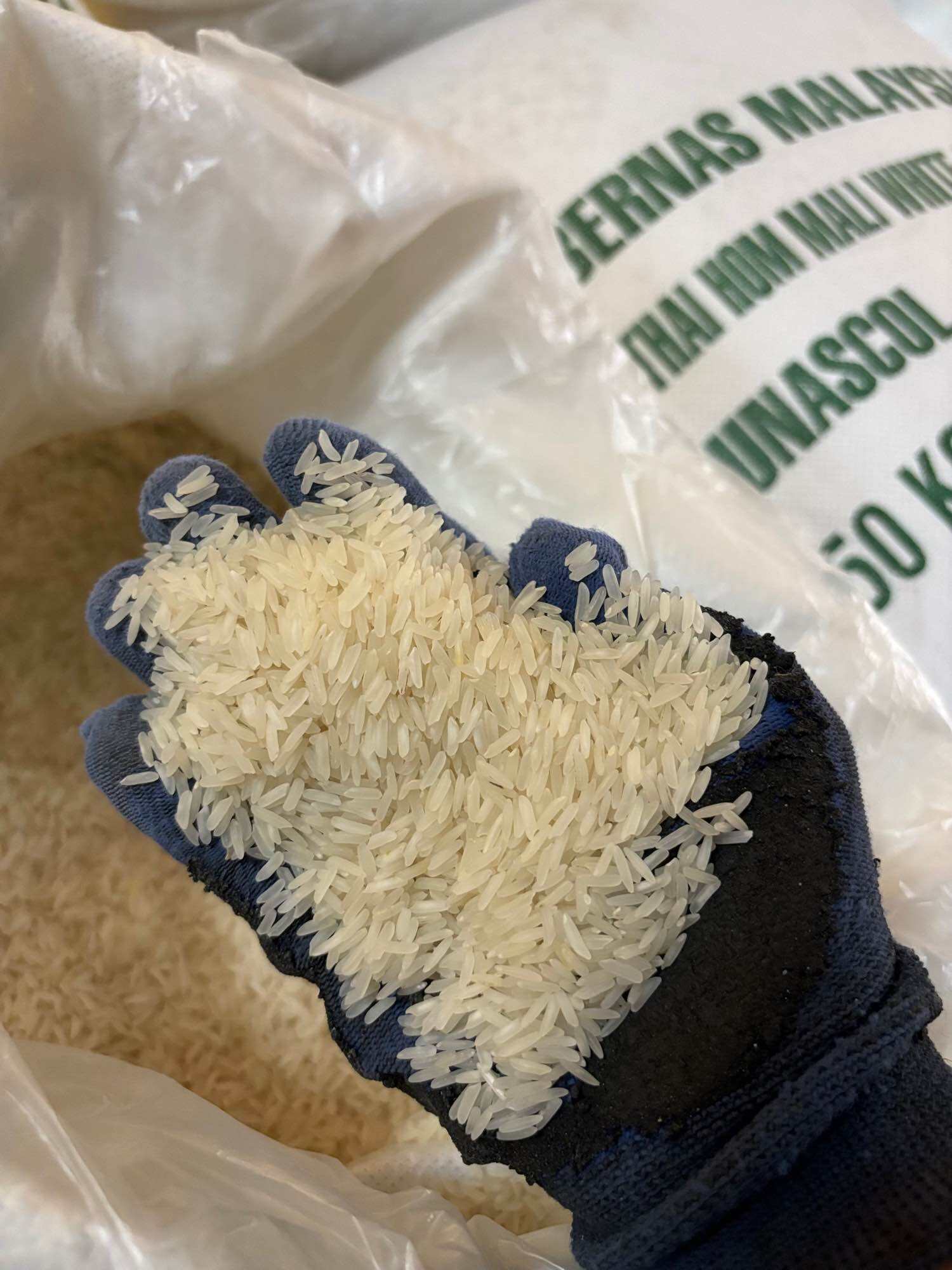 Thai Hom Mali - Beras Wangi (1kg) / Fragrant Rice (1kg) | Lazada