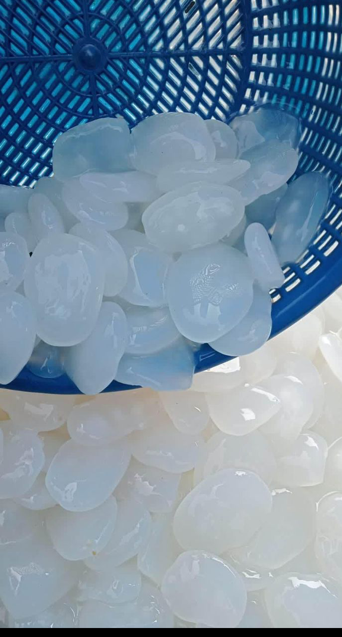 Buah Kabung 500g/1KG/Fresh | Lazada