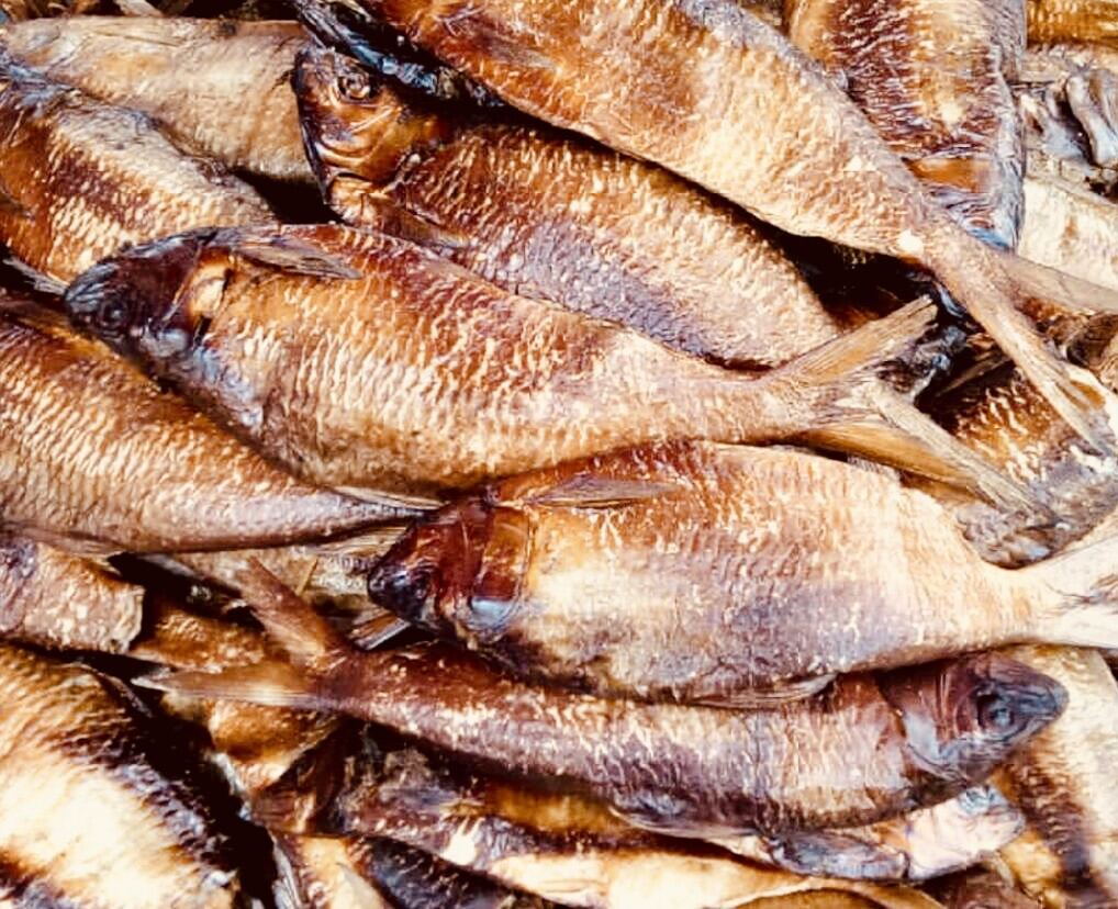 Freshly Smoked BONGA Fish (AGBODO Imported from 9ja) RM19.99/pack | Lazada