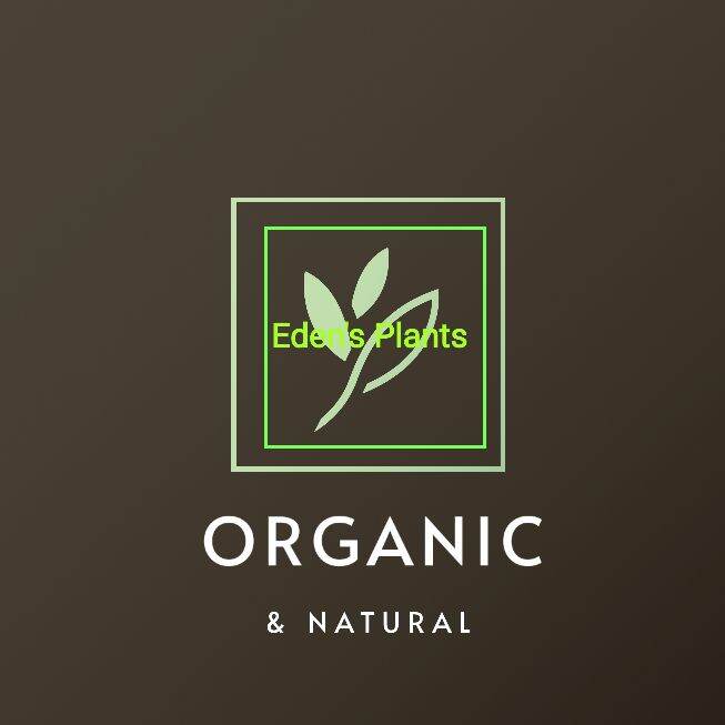 Jess Eden's Plants ☘️ & Cooking Essentials Official Store in Malaysia ...