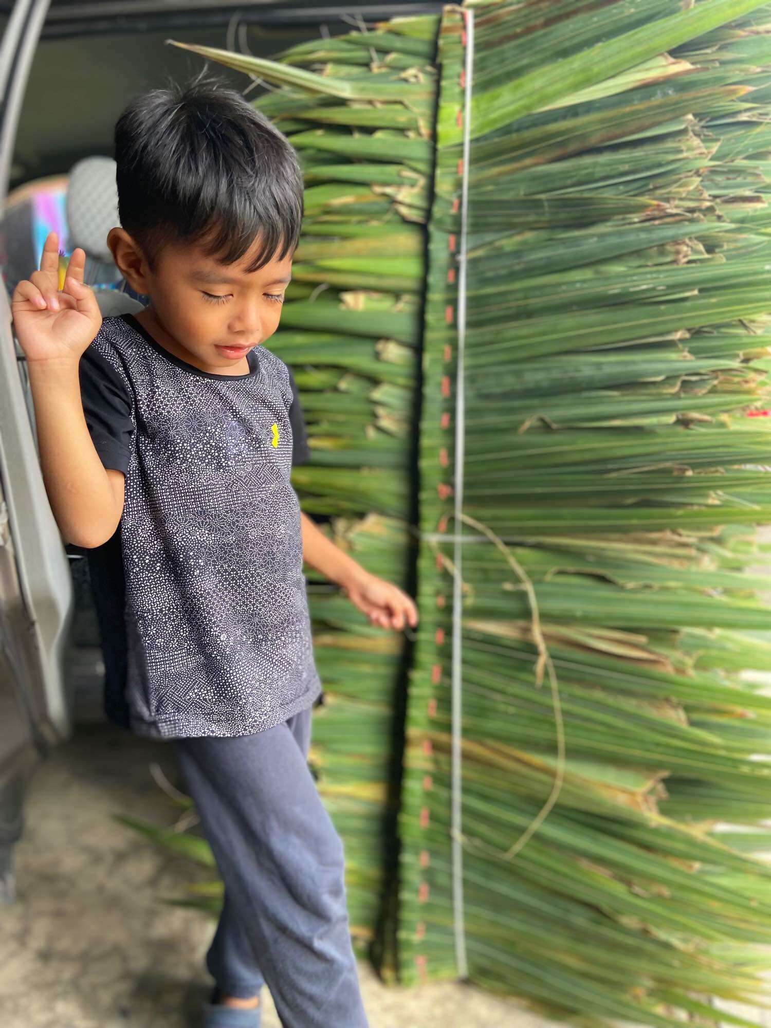 Traditional Nipah Roof - Atap Nipah Tradisional | Lazada