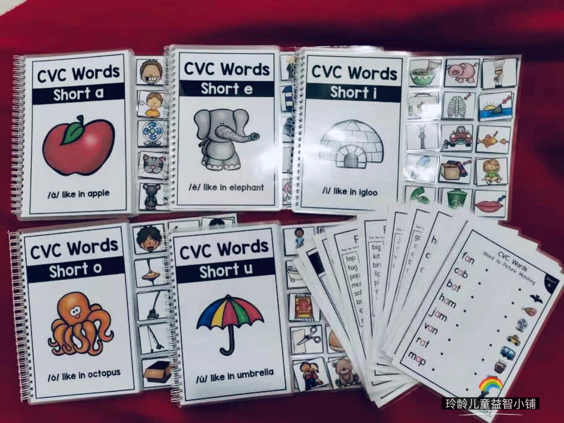 CVC Phonics 自然拼读安静书 Busy Book/ Quiet Book/ Phonics/ cvc word family ...