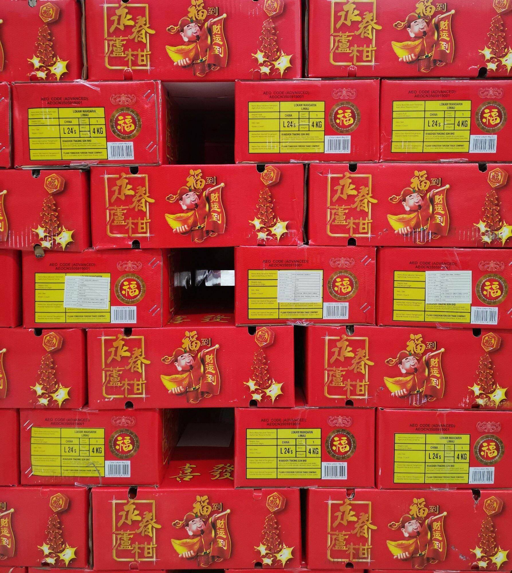 [CNY PROMO] Lokam Yong Chun Mandarin Orange (S / M / L / XL +4kg ...