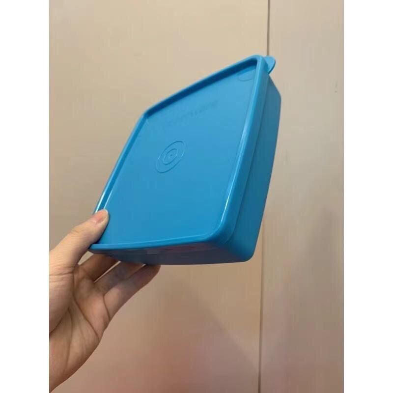 💗READY STOCK💗ORIGINAL 100% Tupperware Square Away Food Sandwich ...