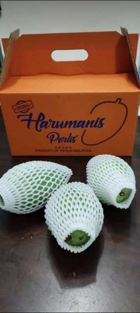 Grade A Harumanis Harum Manis Harummanis Perlis Original 100% | Lazada