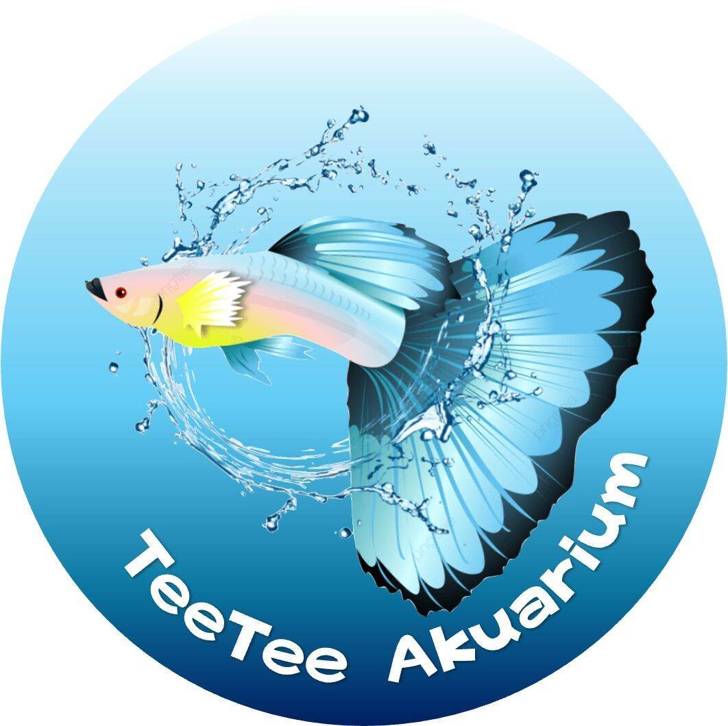 TeeTee Akuarium Official Store in Malaysia, Online Shop 05 2025