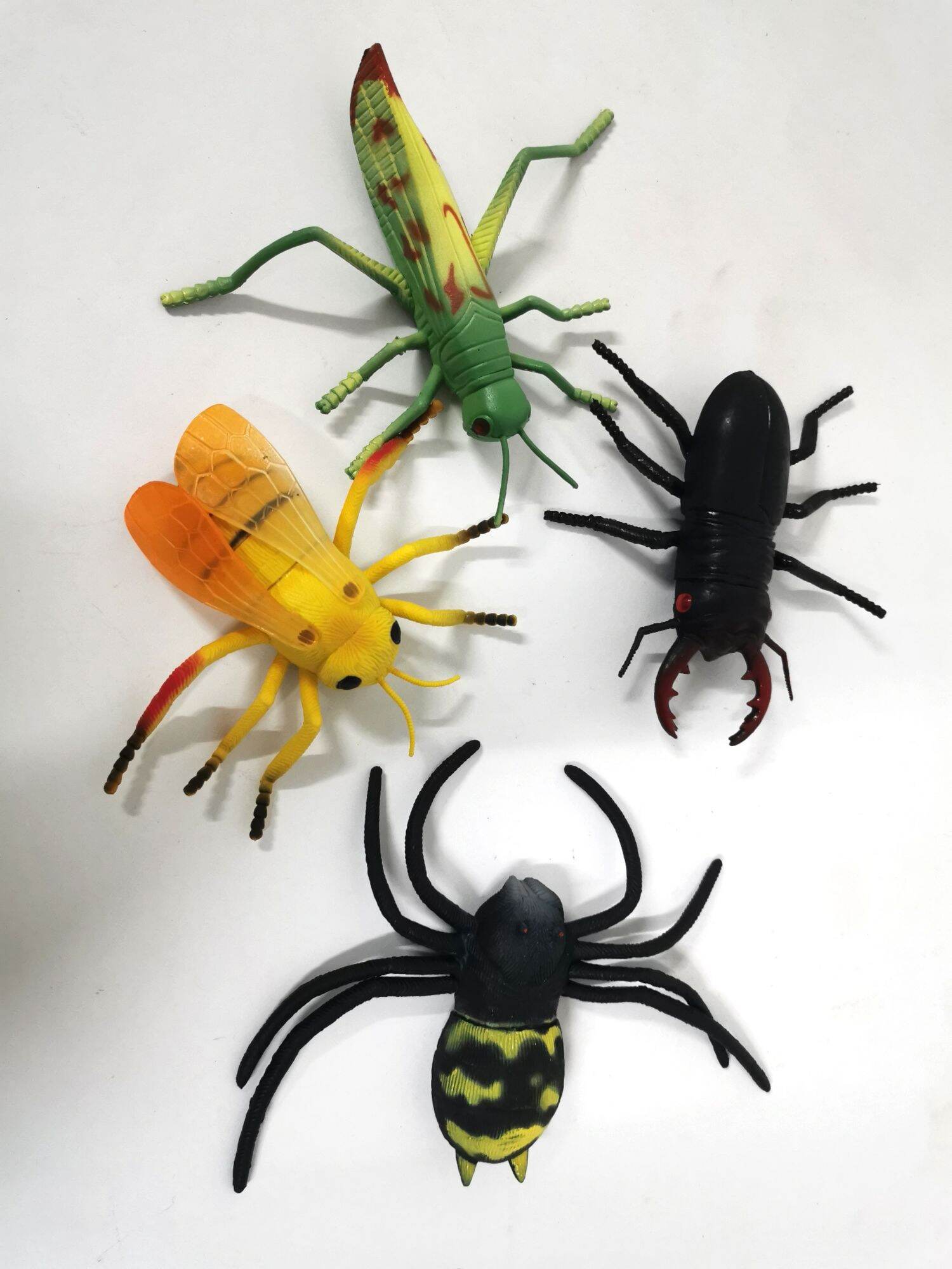 Huge insect Grasshopper , Bee , Spider , Beetle rubber kids toys | Lazada