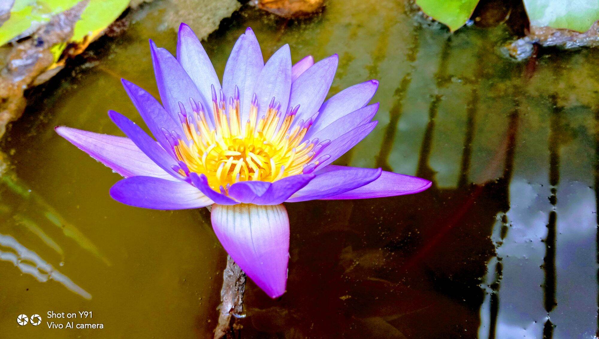 Avis store Malaysia Official Online Store | Shop Now on Lazada